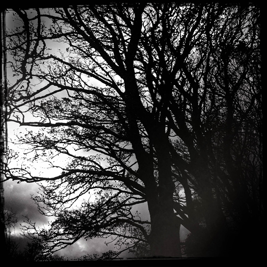 Hudson River Frame Company